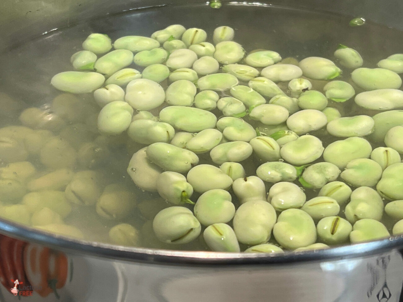 Verdure di primavera - Ricette senza lattosio
